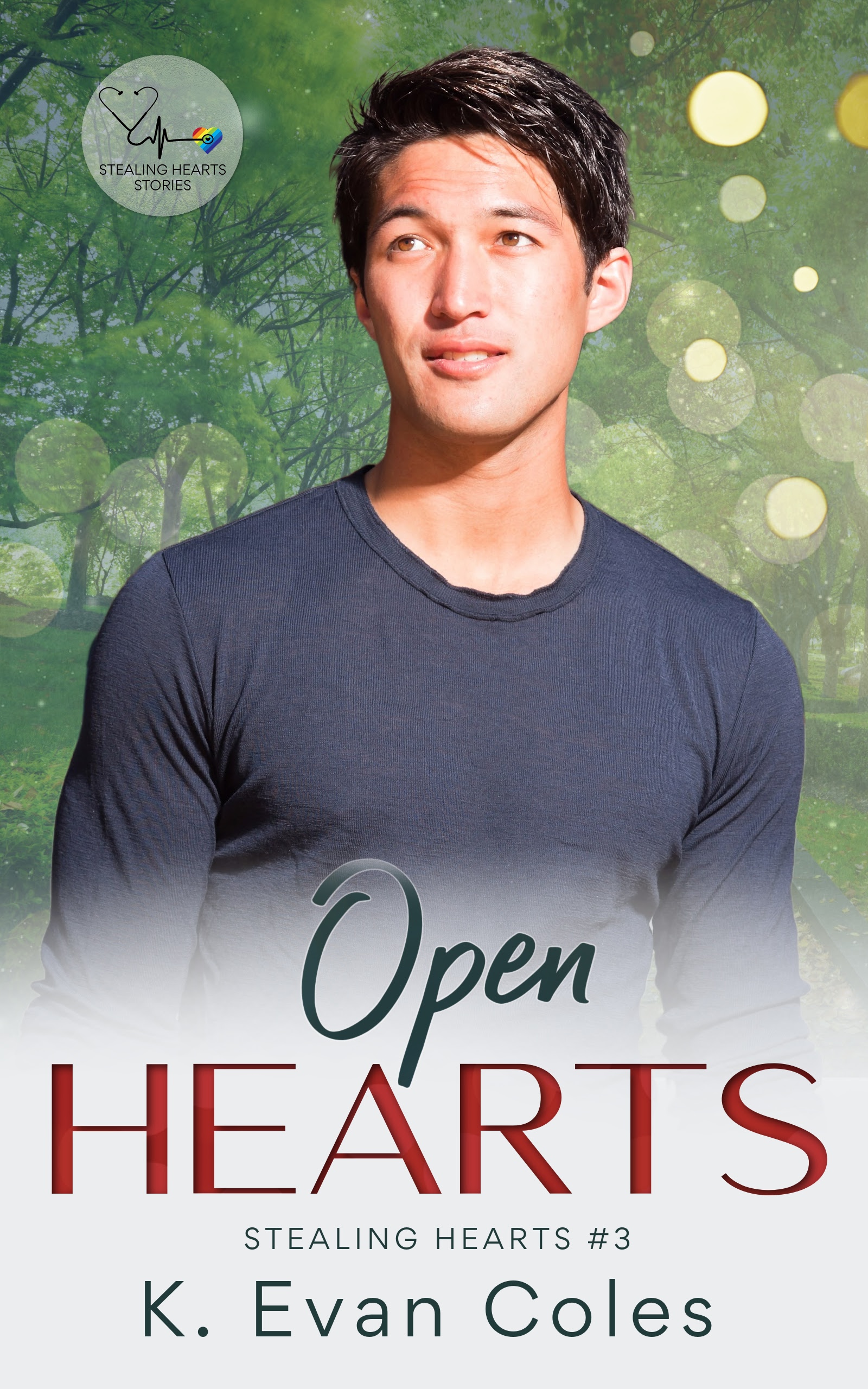 Healing Hearts – Stealing Hearts #2 – K. Evan Coles
